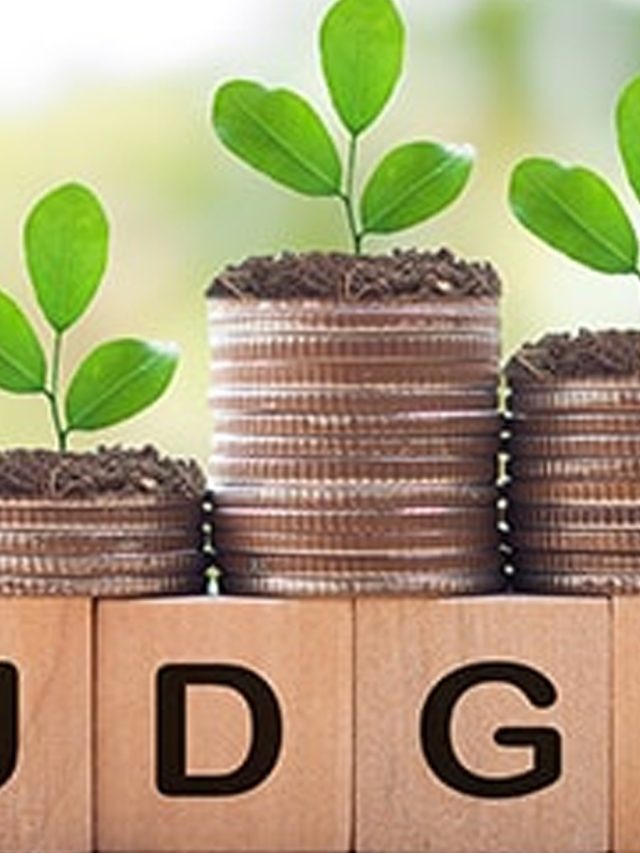 Essential Financial Planning Tips for Working Women - The Women Achiever